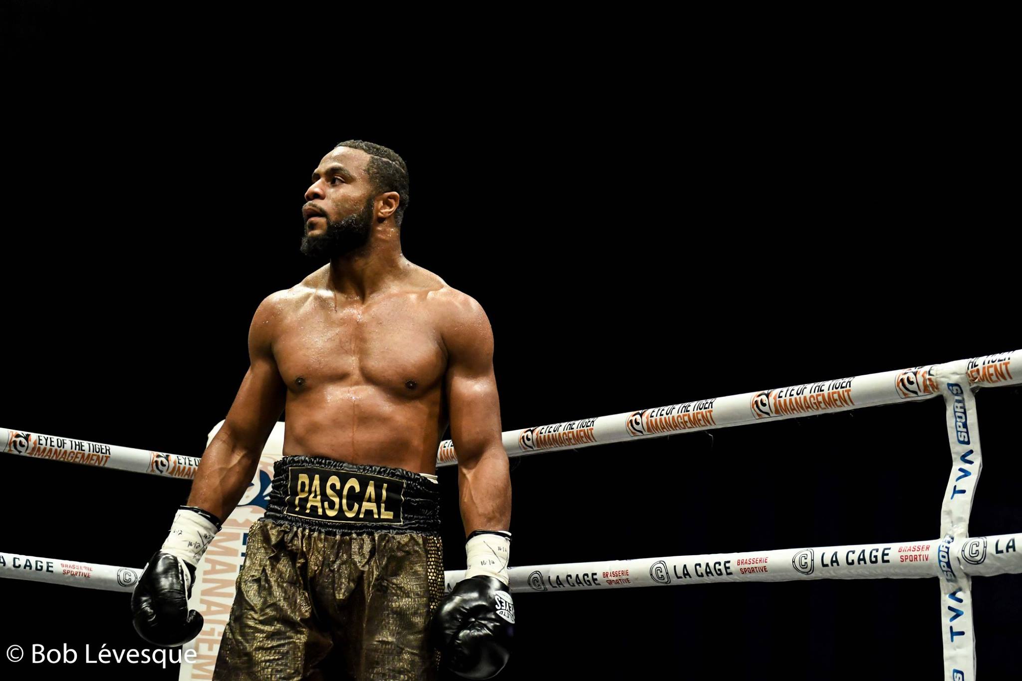 Au fil des rounds – l’actualité de la boxe | Journal Le Nord