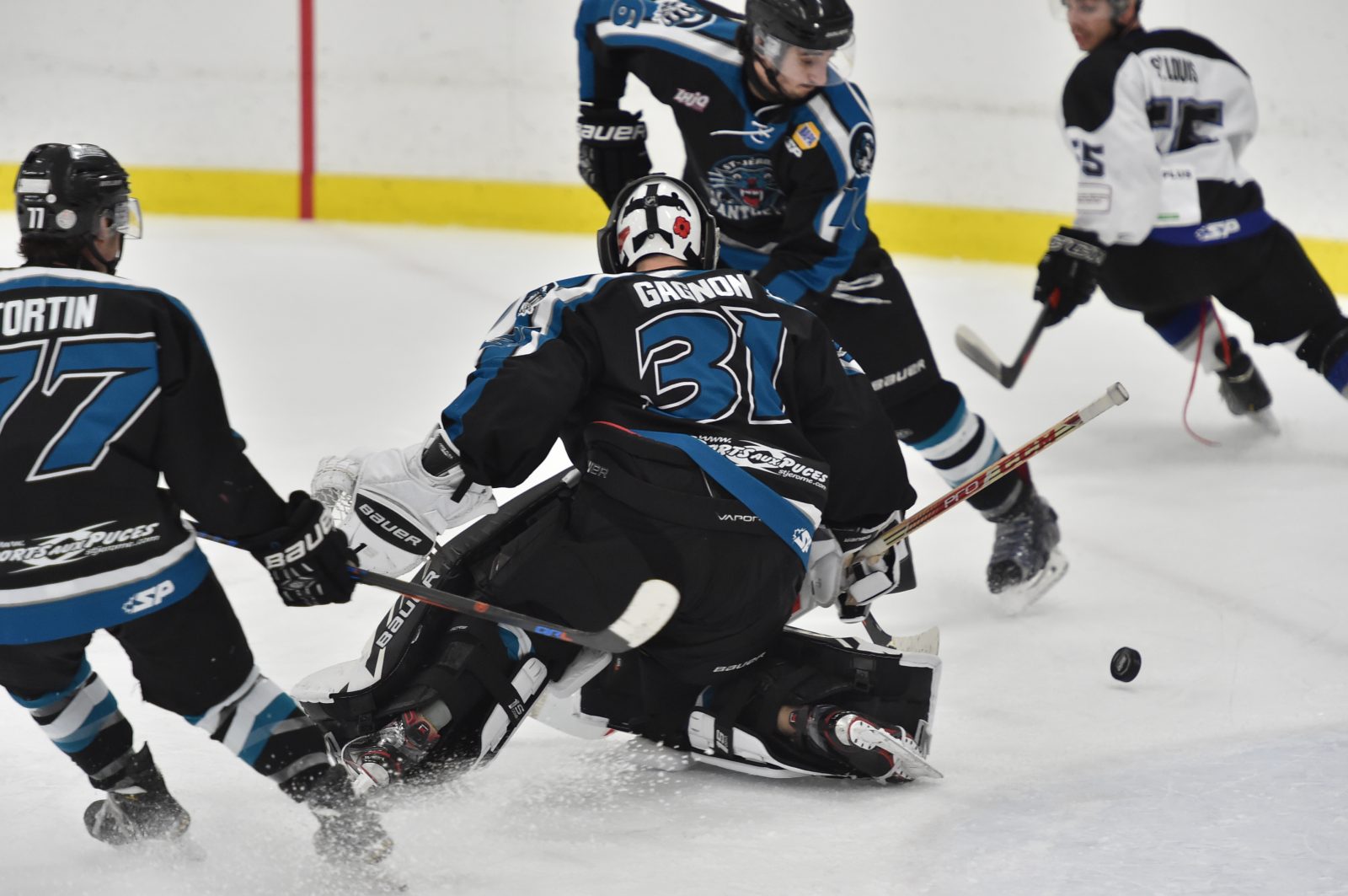 Les Panthères remportent un premier match | Journal Le Nord