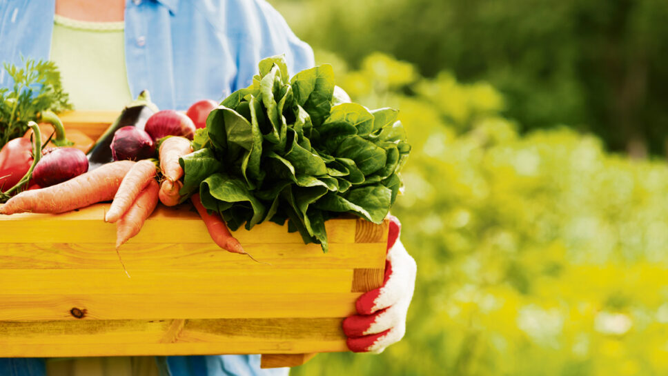 La certification biologique | Journal Le Nord