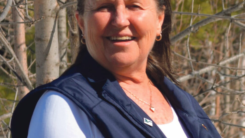 Diane Robitaille : 40 ans d'implication dans sa communauté | Journal Le ...