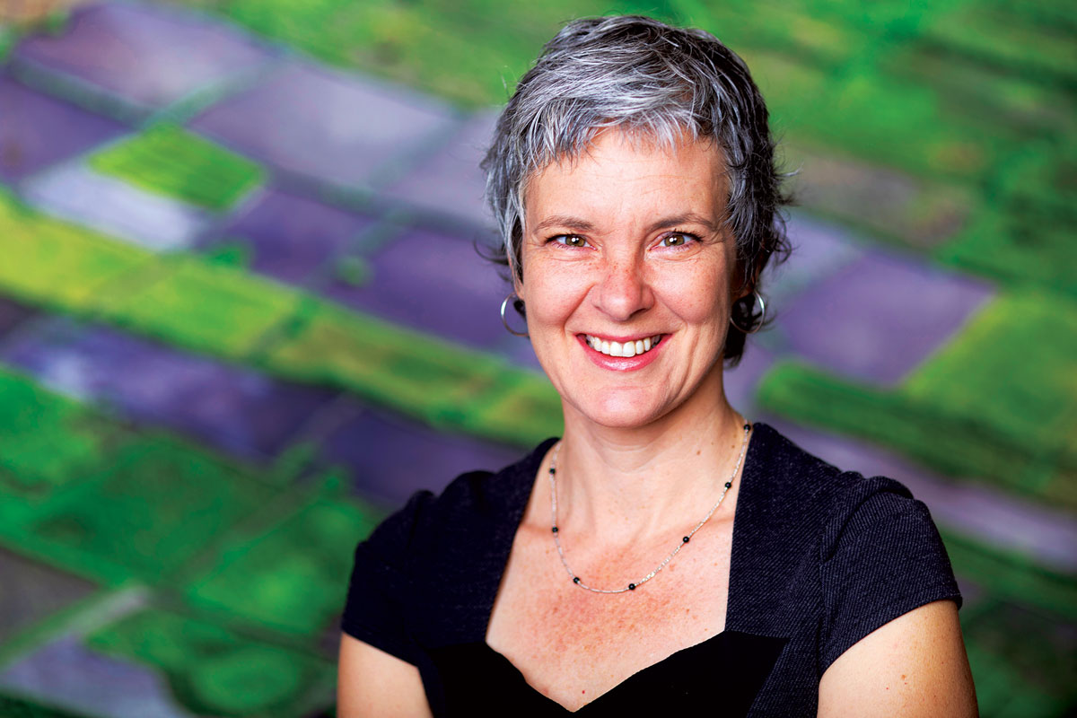 L’environnement : un enjeu municipal | Journal Le Nord