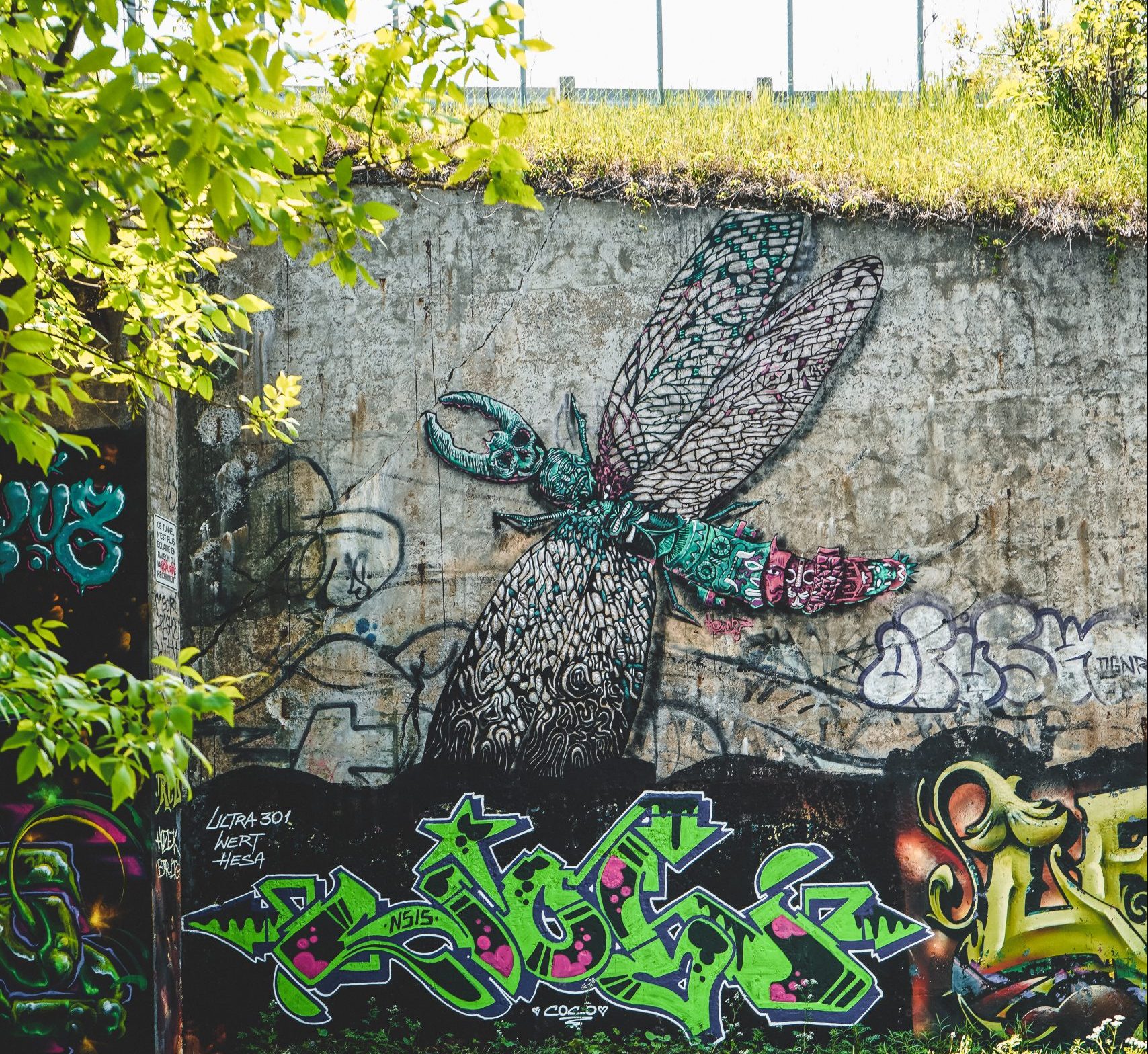 Makadam: L'événement que vous avez manqué | Journal Le Nord