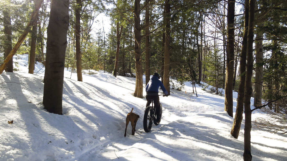 Un terrain de 25 hectares protégé | Journal Le Nord