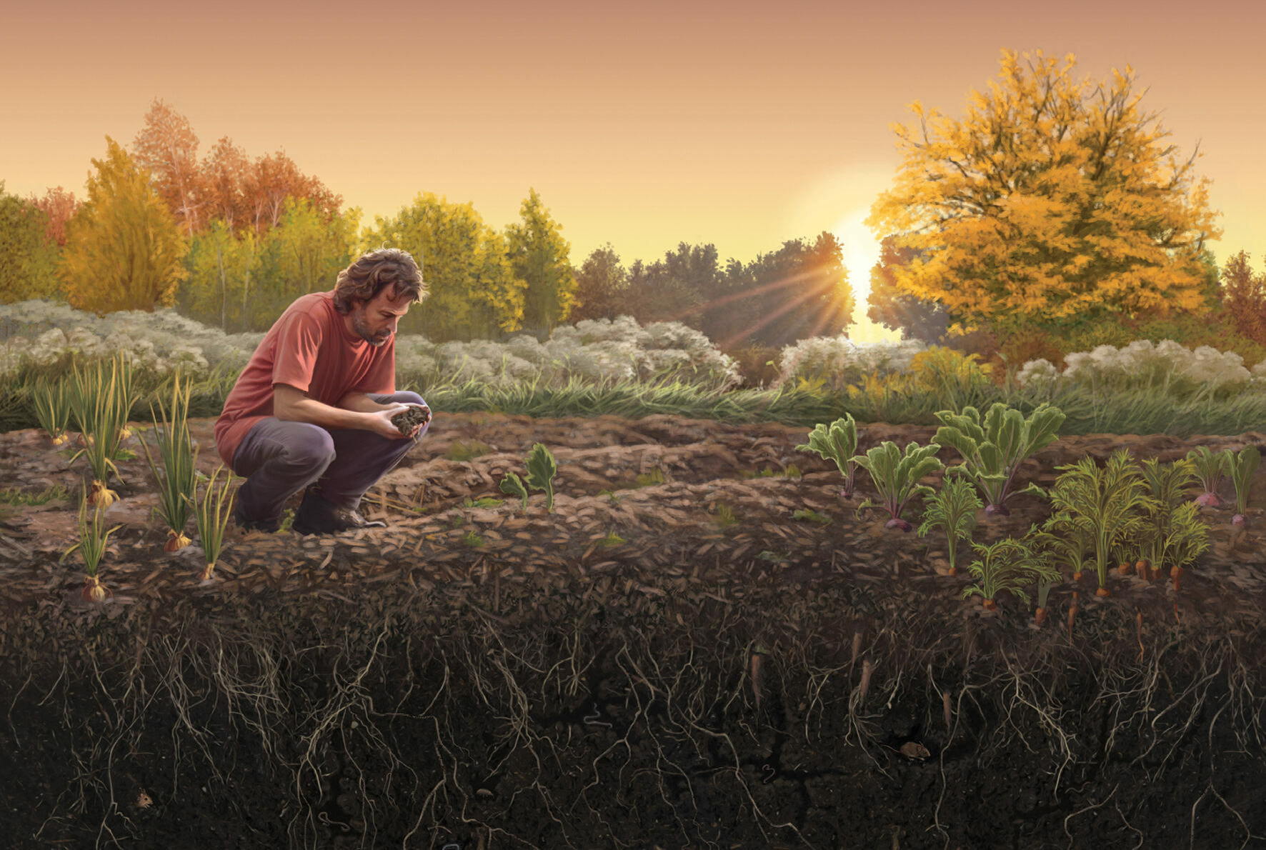 Documentaire Humus : Rencontre avec la réalisatrice | Journal Le Nord