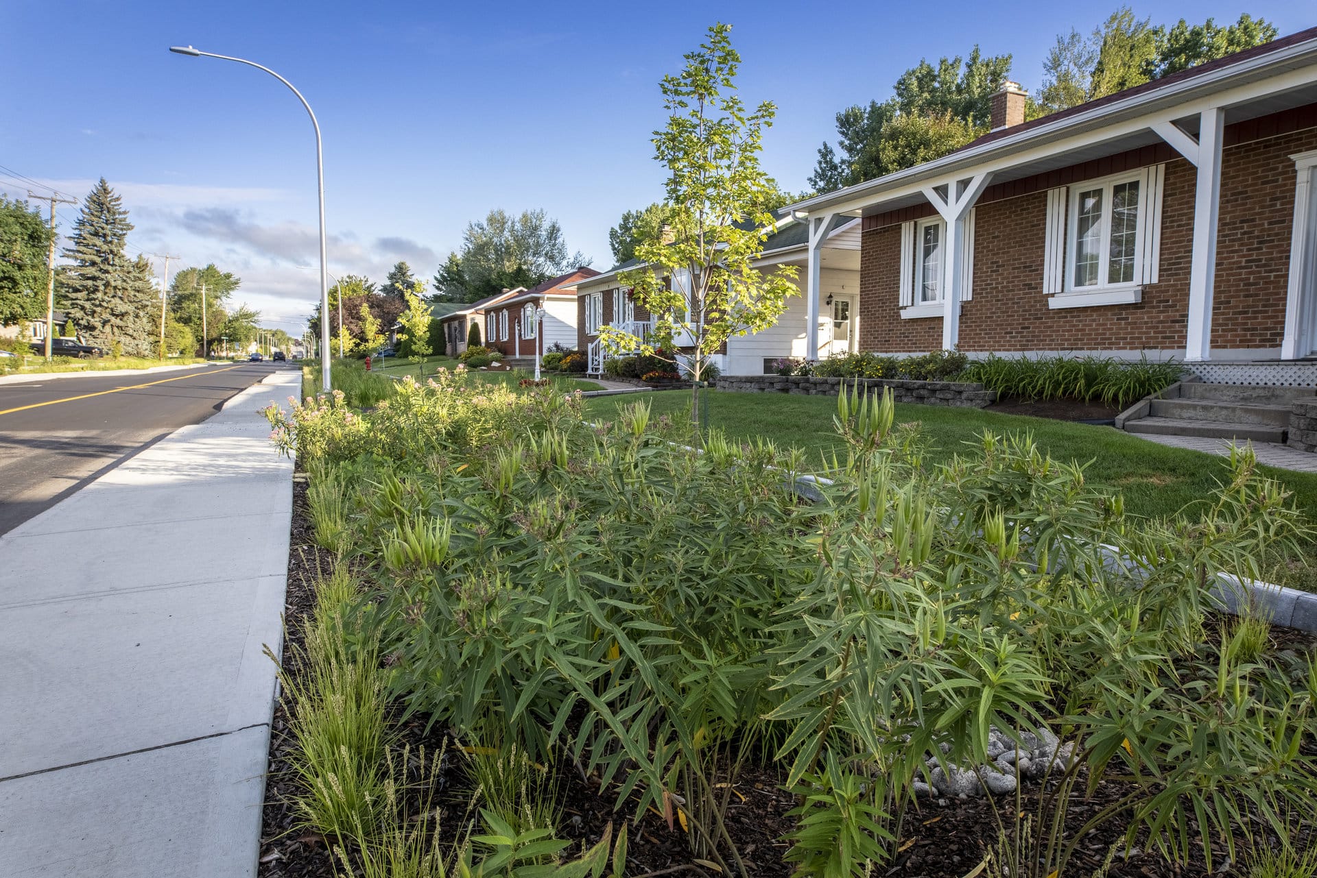 La Ville Éponge : Une solution pour mieux gérer l'eau | Journal Le Nord