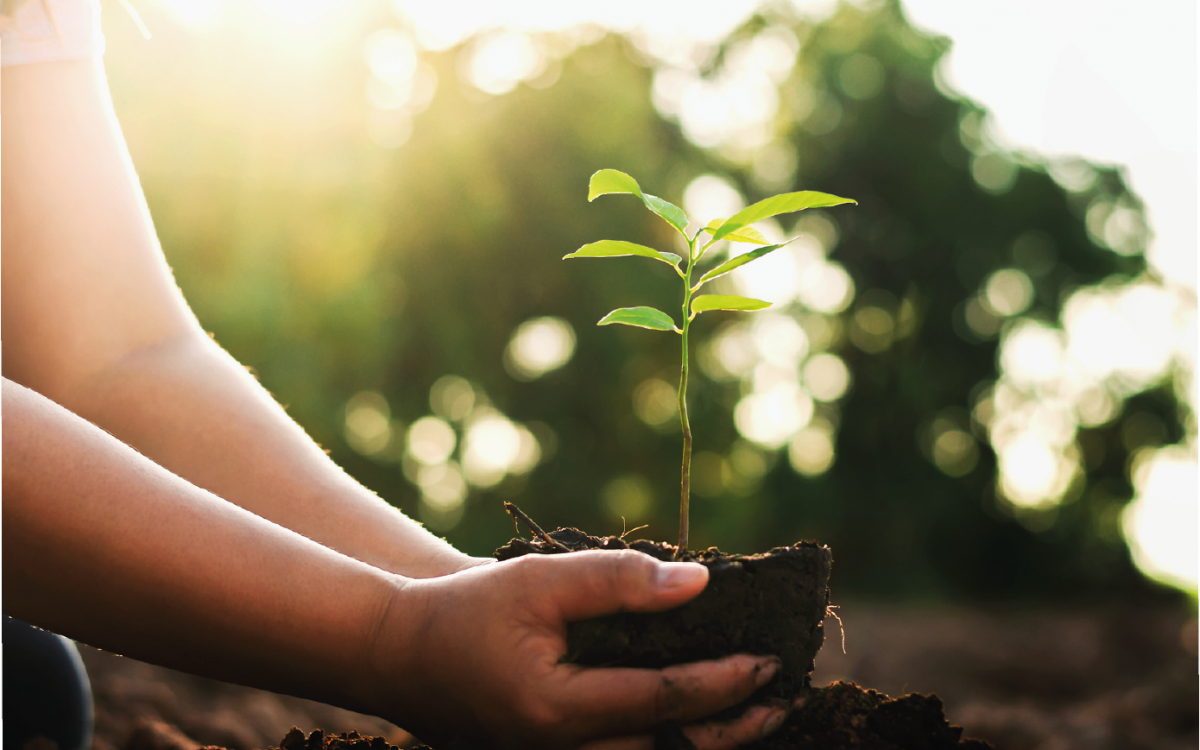 C'est le temps de jardiner et de retrouver la nature | Journal Le Nord