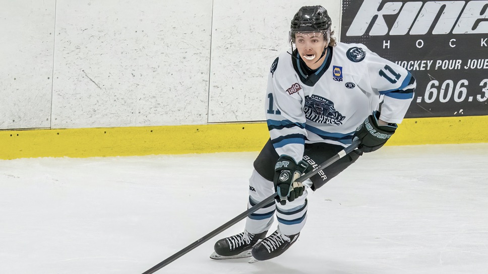 Transactions de mi-saison : Du sang neuf pour les Panthères | Journal ...