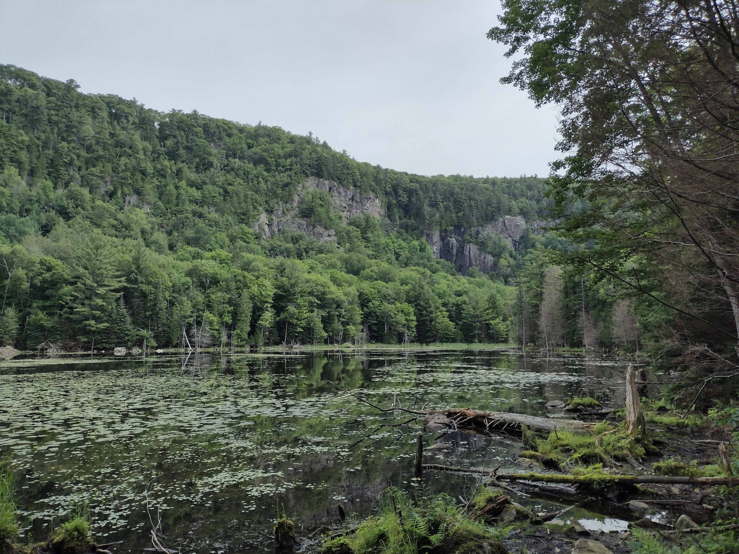 Les Randonneurs : La réserve naturelle Alfred-Kelly | Journal Le Nord
